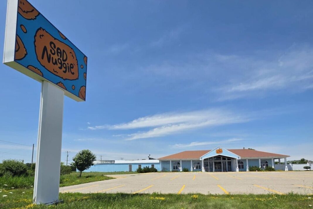 Meet the Two Canadians Who Turned a Crying Chicken Nugget Into a Retail ...